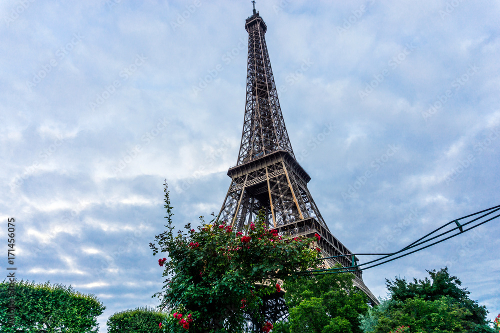 The Eiffel Tower (nickname La dame de fer, the iron lady),The tower has ...