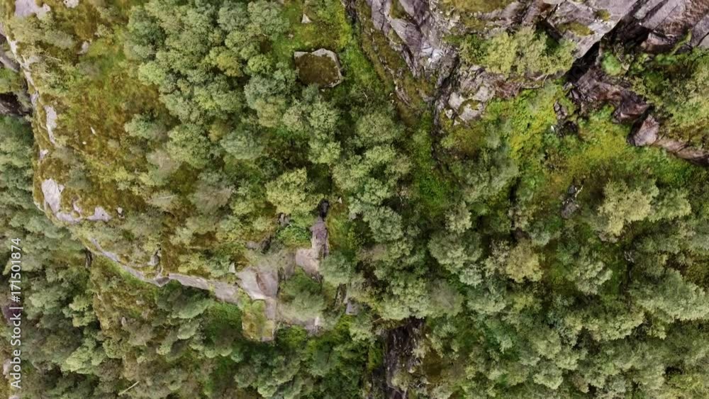 Vidéo Stock Shooting from helicopter high huge rocks covered with dense ...