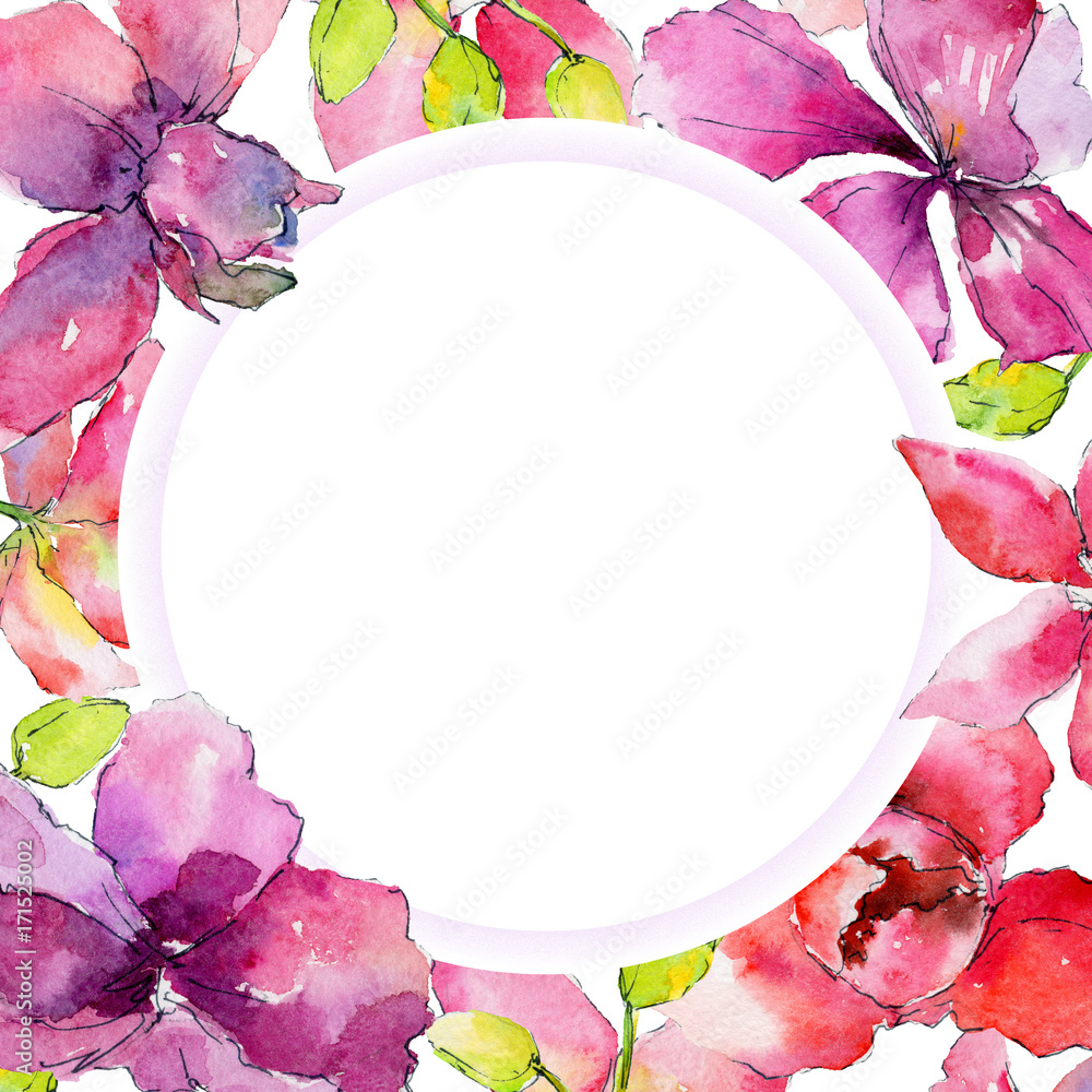 Wildflower orchid flower frame in a watercolor style. Full name of the ...