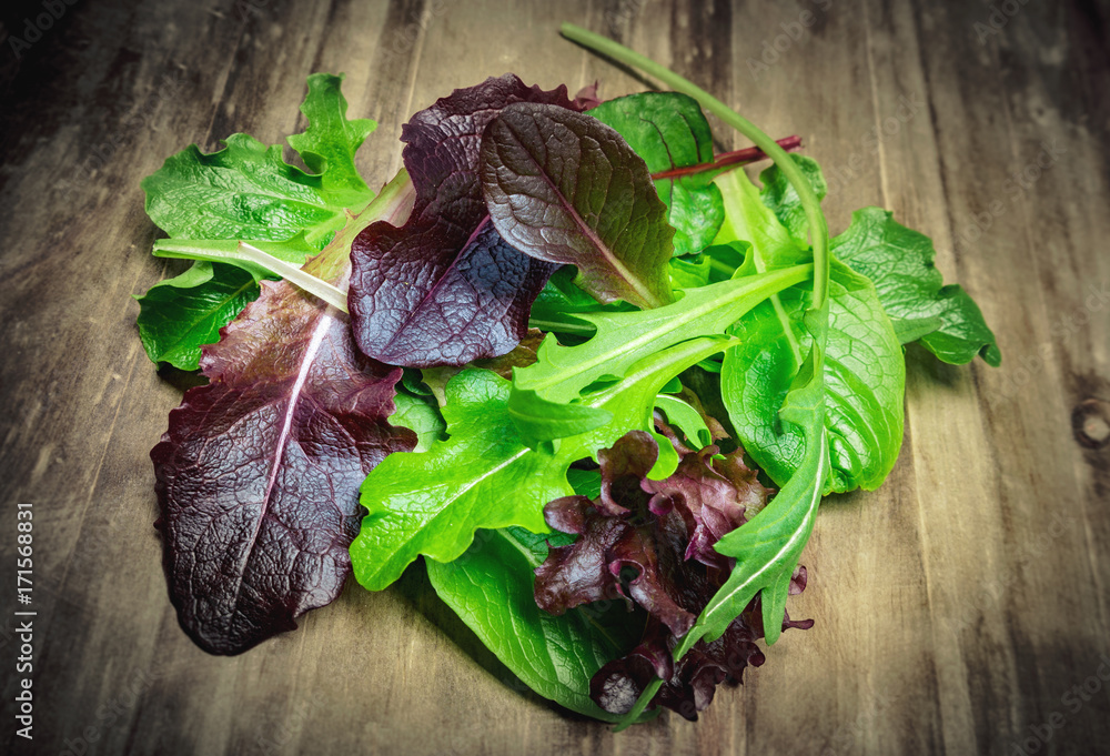 Salatblätter Stock-Foto | Adobe Stock