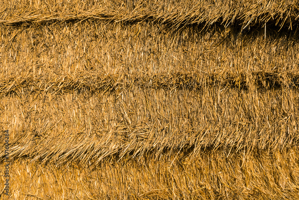 Background and texture of straw Stock Photo | Adobe Stock