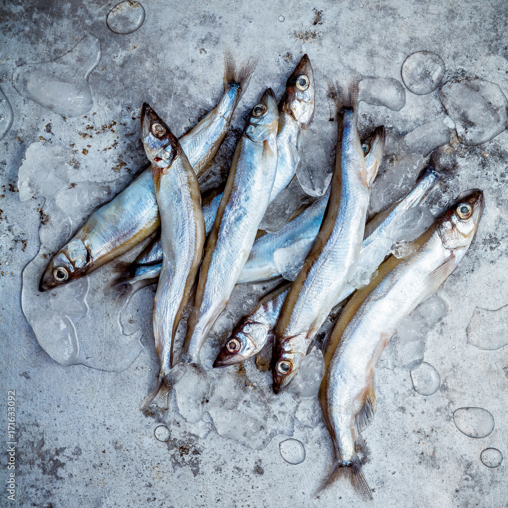 Fresh catch Shishamo fish fully eggs . Shishamo fish is popular fish ...