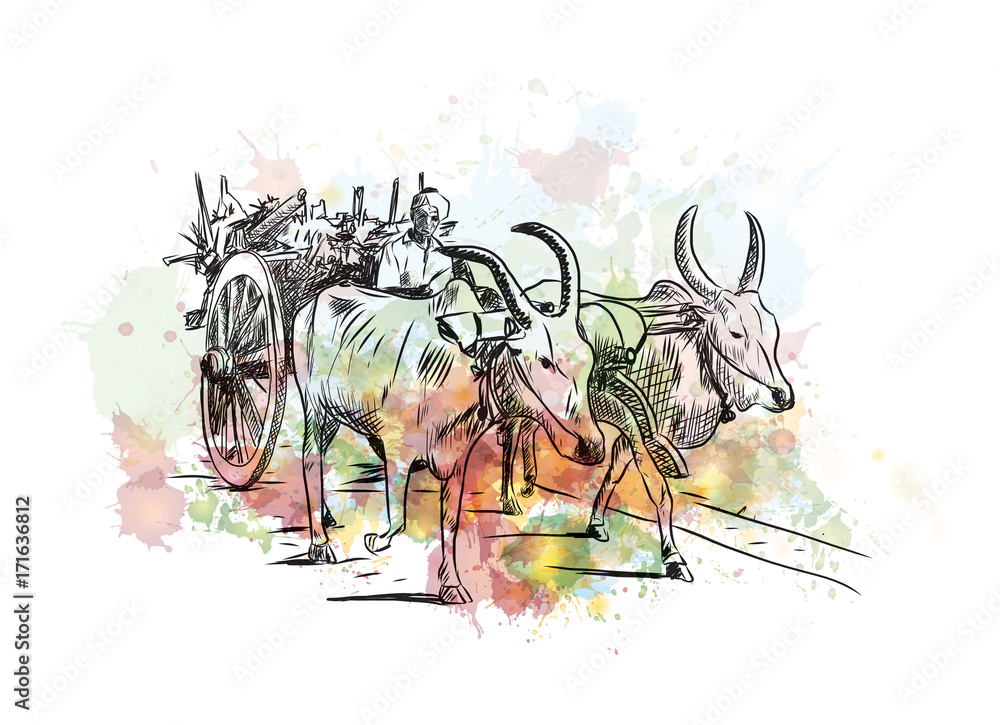 Watercolor sketch of Bull Cart in vector illustration. Stock Vector ...
