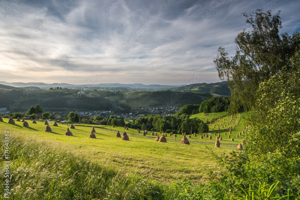 Sianokosy Rytro,Mikołaska ,Obłazy Ryterskie, Beskid Sądecki. Stock 写真 ...