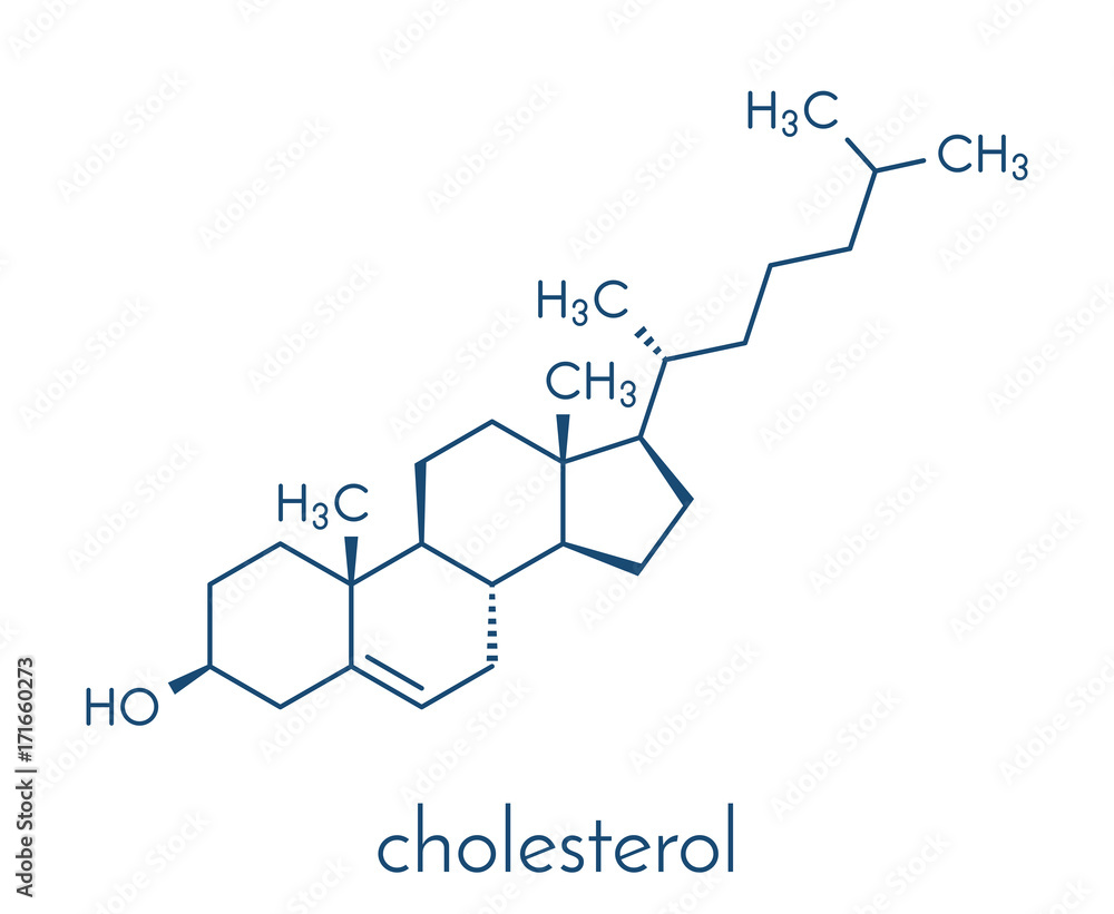 Cholesterol Molecule Essential Component Of Cell Membranes And cholesterol-molecule-essential-component-of-cell-membranes-and