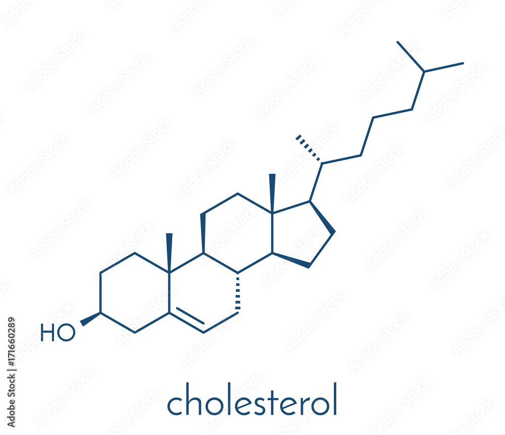 Cholesterol molecule. Essential component of cell membranes and ...