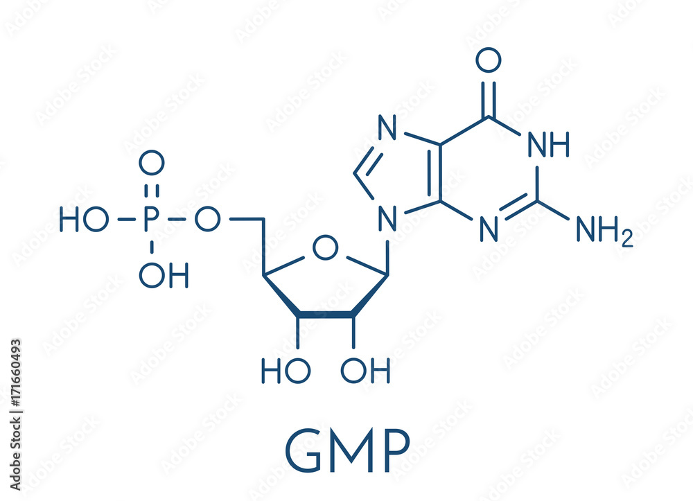 Guanosine Monophosphate