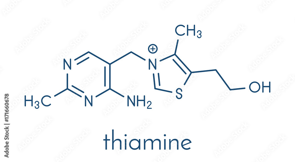 Vitamin B1 (thiamine) molecule. Skeletal formula. Stock Vector | Adobe ... Vitamin B1 (thiamine) molecule. Skeletal formula. Stock Vector | Adobe ...