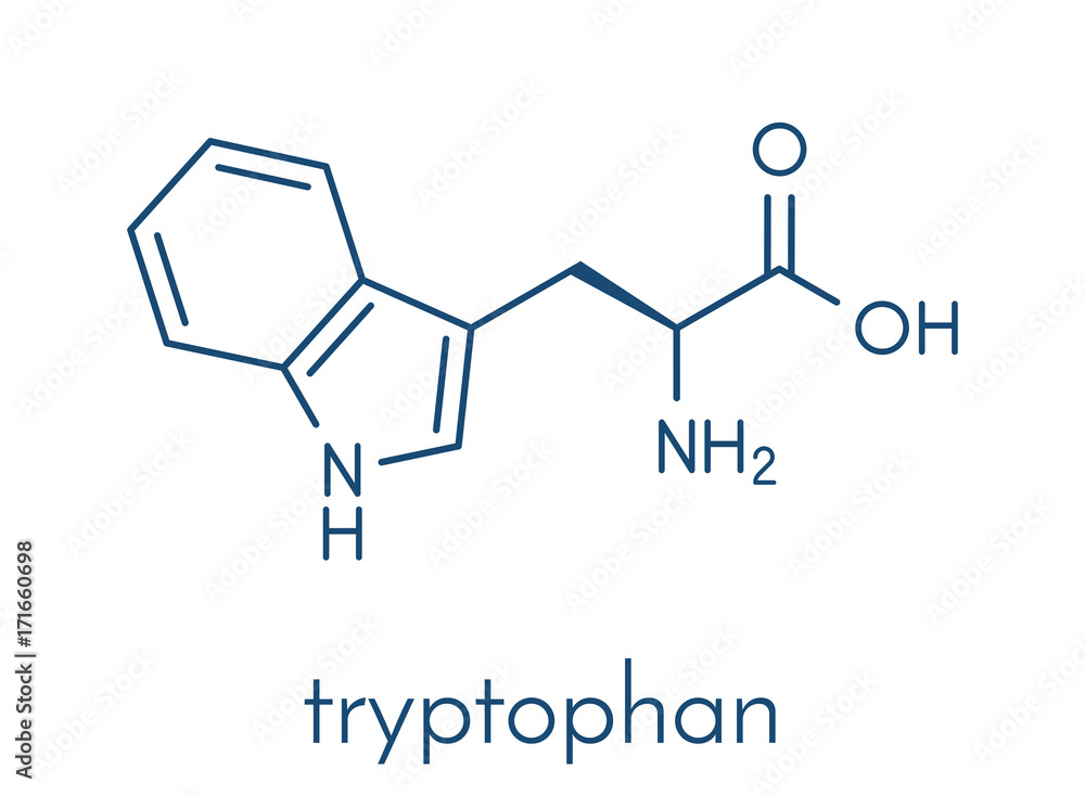 Tryptophan (l-tryptophan, Trp, W) amino acid molecule. Skeletal formula ... Tryptophan (l-tryptophan, Trp, W) amino acid molecule. Skeletal formula ...
