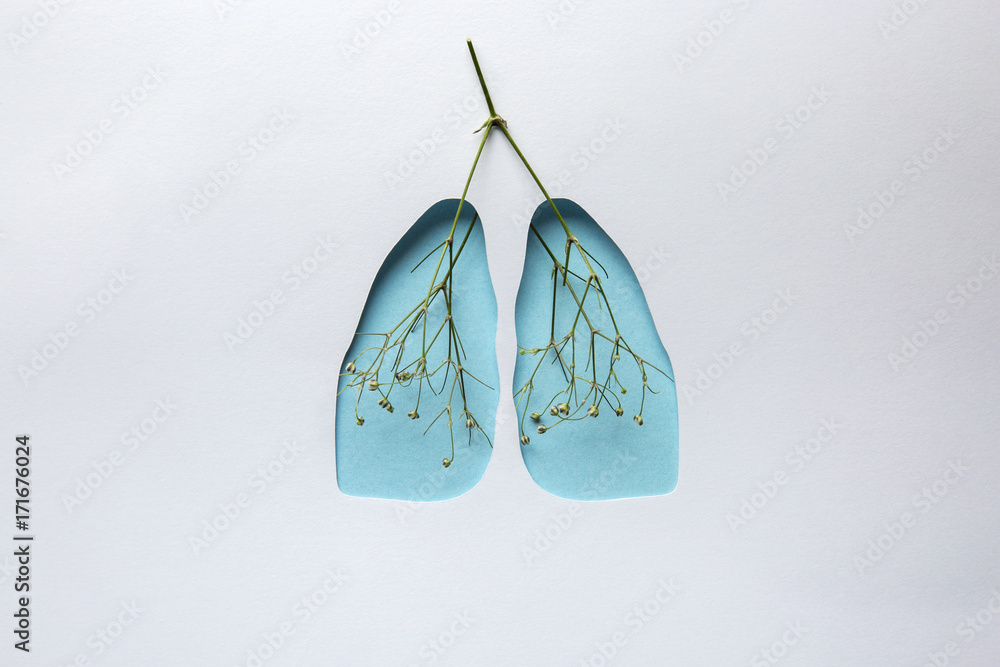 Human lungs shape cut out of paper and arteries and veins symbolized by ...