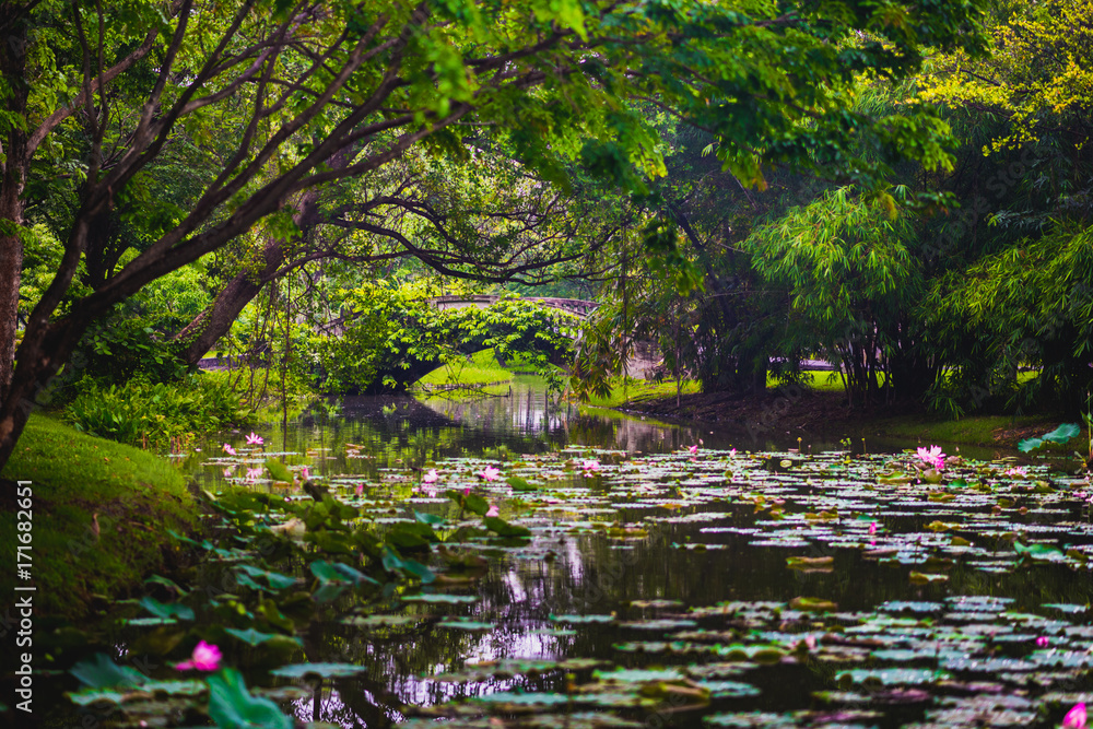 Bangkok city: King Rama IX Park (Suan Luang), botanical garden & park ...