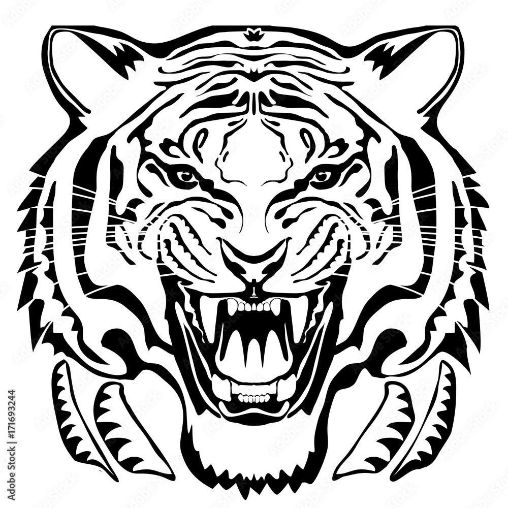 Angry tiger head; hand drawn vector graphic. Black drawing on isolated ...