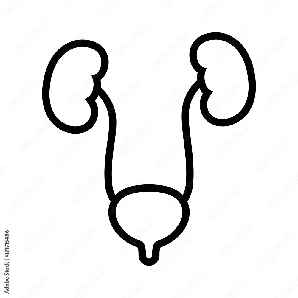 Black And White Bladder