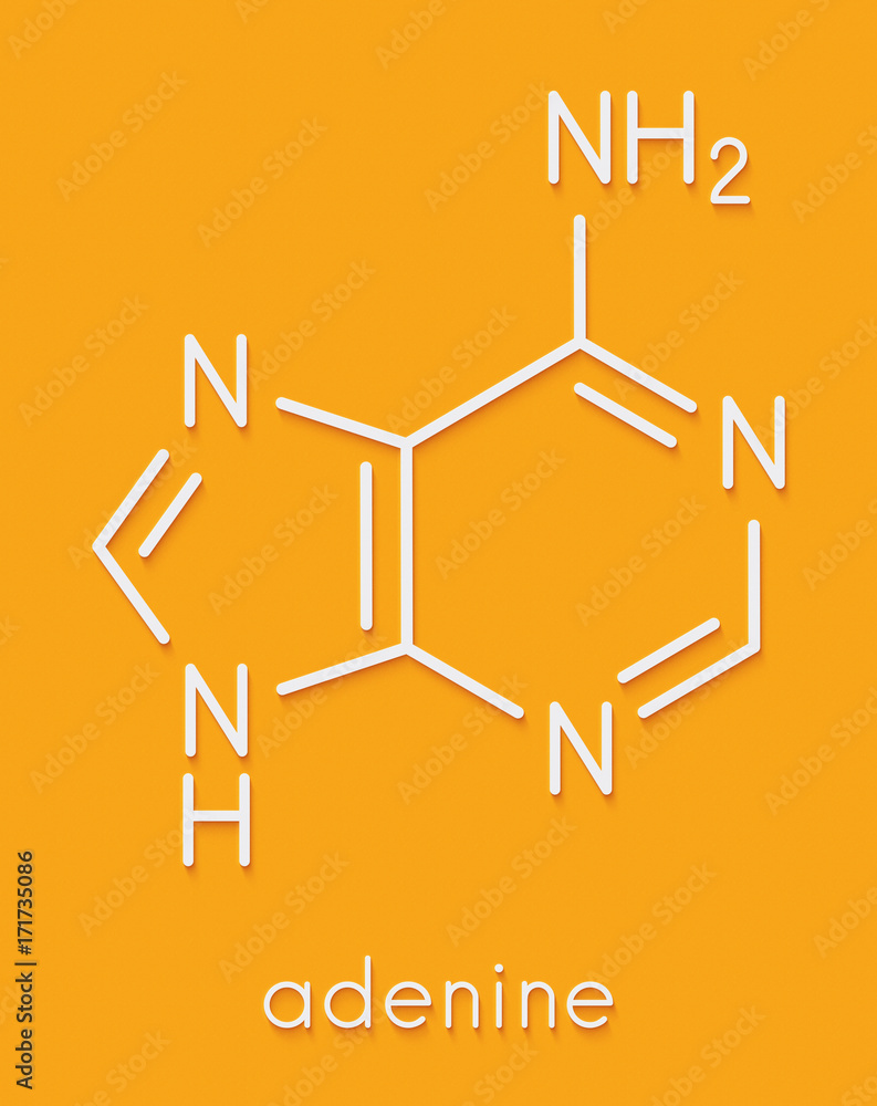 Adenine (A, Adenine) purine nucleobase molecule. Base present in DNA ...