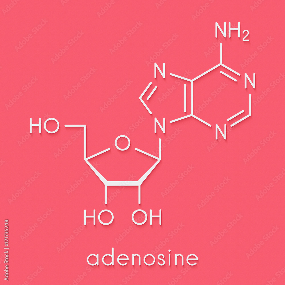 Adenosine (Ado) purine nucleoside molecule. Important component of ATP ...
