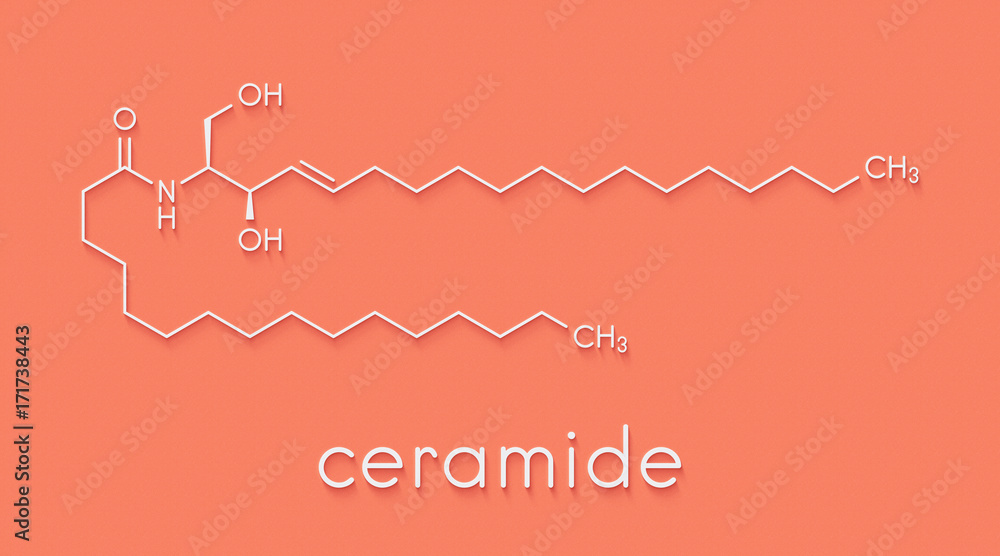 Ceramide cell membrane lipid molecule. Skeletal formula. Stock Photo ...