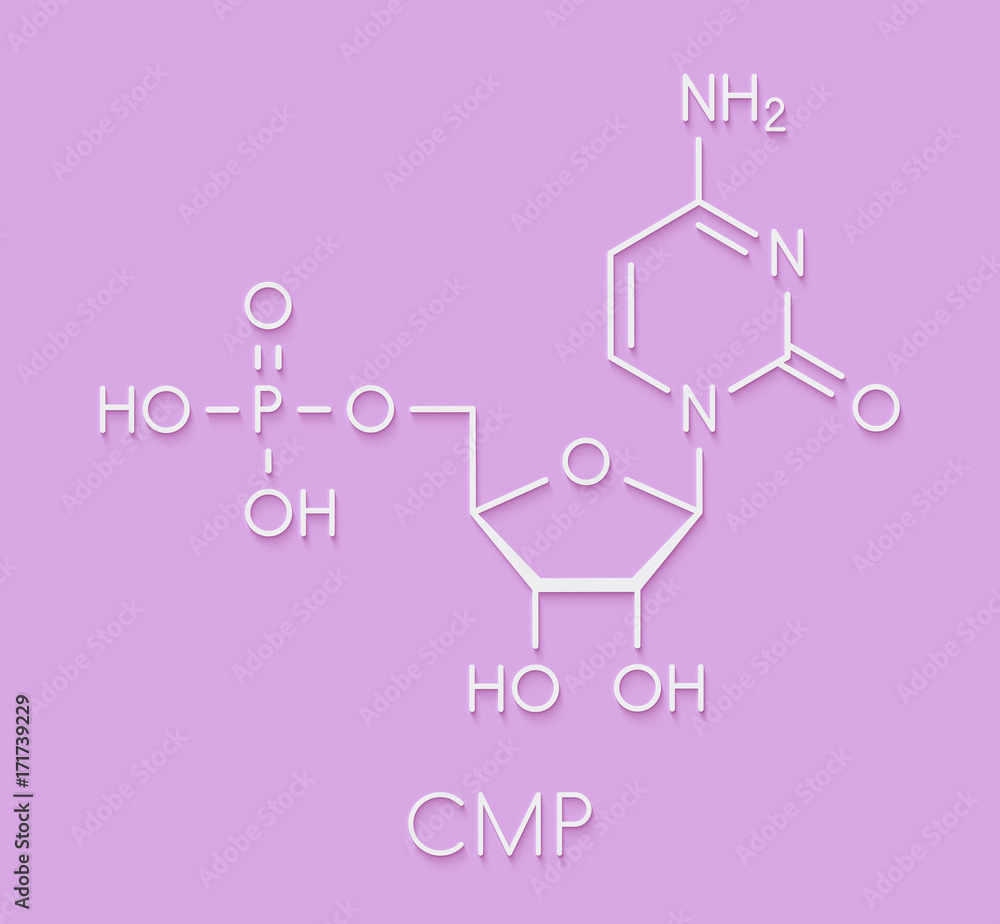 Cytidine Monophosphate