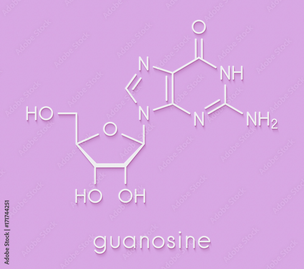 Guanosine purine nucleoside molecule. Important component of GTP, GDP ...