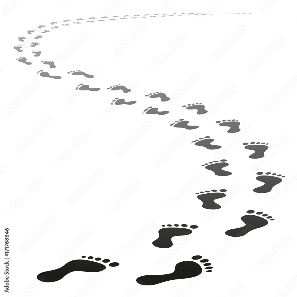 Vector foot tracks footpath Stock Vector | Adobe Stock
