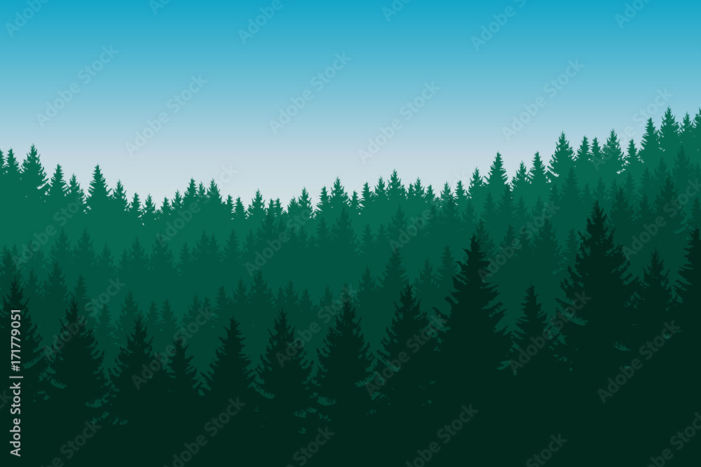Vector illustration of coniferous forest with green trees in several ...