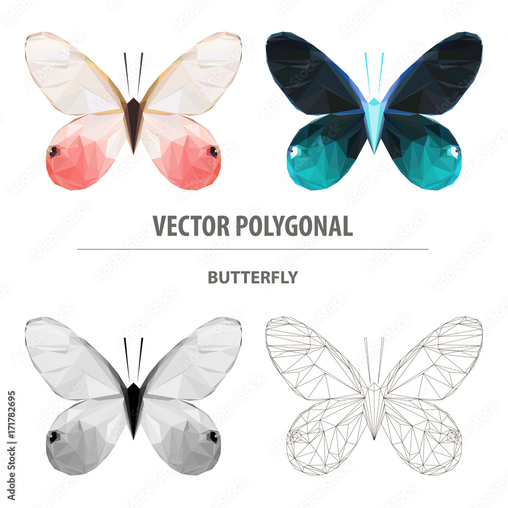 Vector polygonal butterfly. Low poly insect illustration. Triangle ...