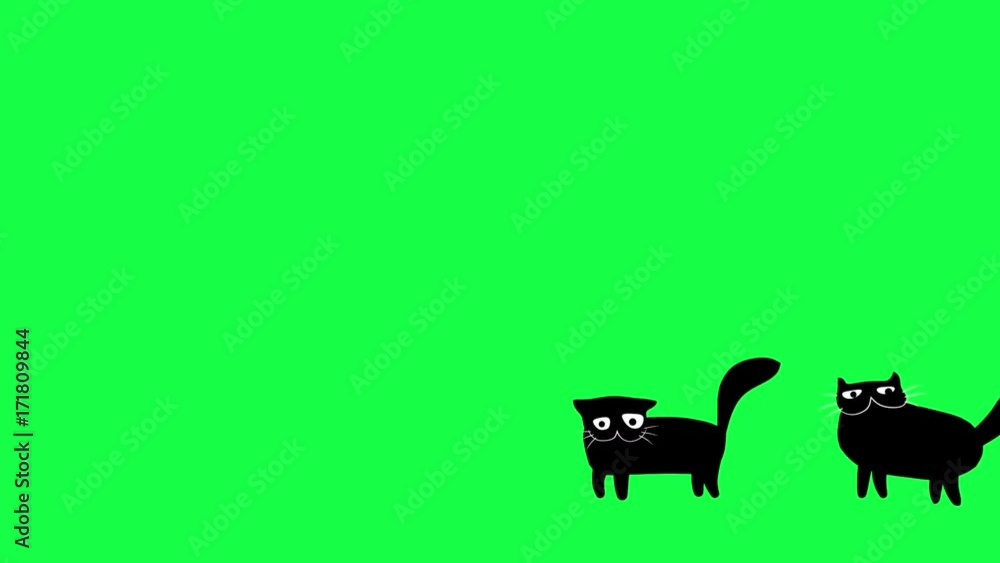 Cartoon walking crazy black cats 2D animation on green screen. Funny ...