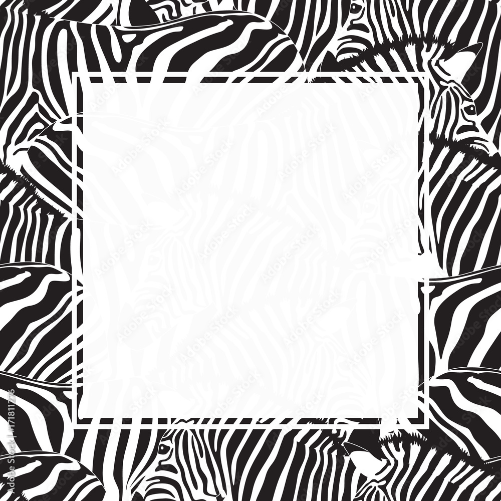 Zebra print border design. Animal skin texture. Black and white ...