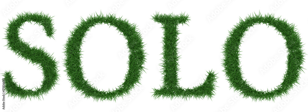 Solo - 3D rendering fresh Grass letters isolated on whhite background ...