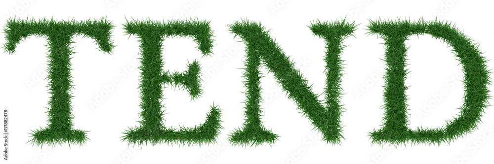 Tend - 3D rendering fresh Grass letters isolated on whhite background ...