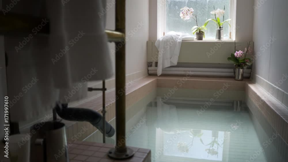 Historic Roman Bath in Berkeley Springs State Park with lotus flowers ...