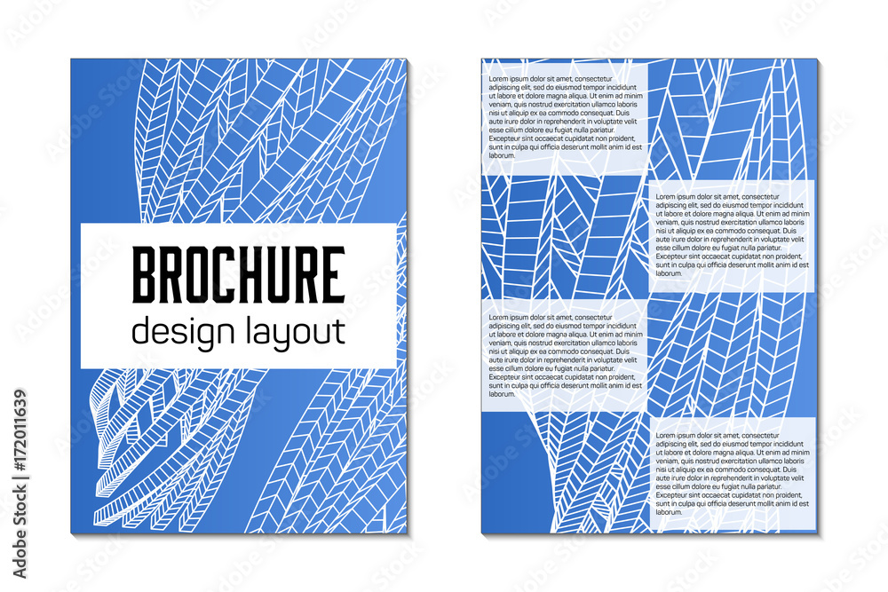 Brochure design template flyer. Front and back page size A4 template ...