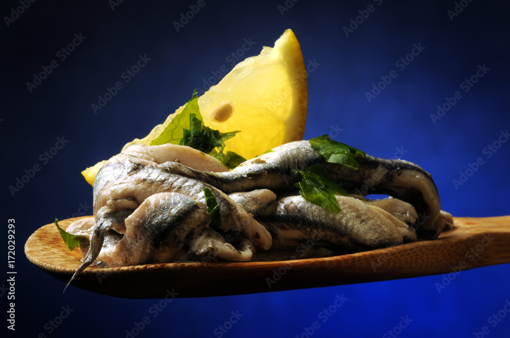 Engraulis encrasicolus Alice Anchovy Sardelli Boquerón Alici Sardela ...