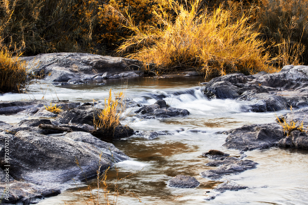 Photo & Art Print Sabie River Kruger Park Lodge, AY DOCKRAT