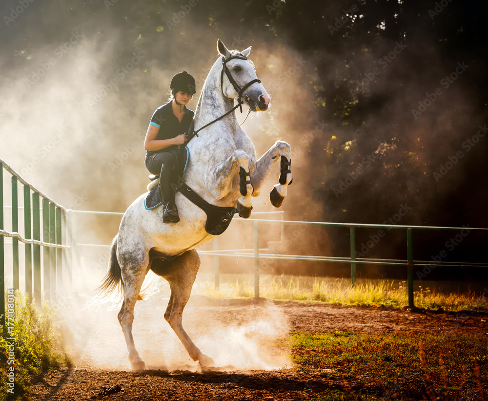 Woman riding a horse in dust, beautiful pose on hind legs Stock Photo ...
