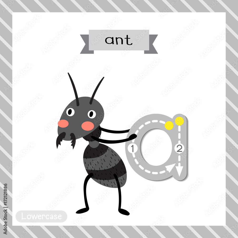 Letter A lowercase cute children colorful zoo and animals ABC alphabet ...