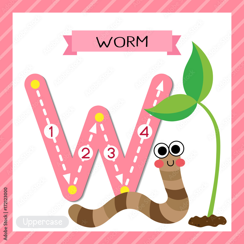 Letter W uppercase cute children colorful zoo and animals ABC alphabet ...