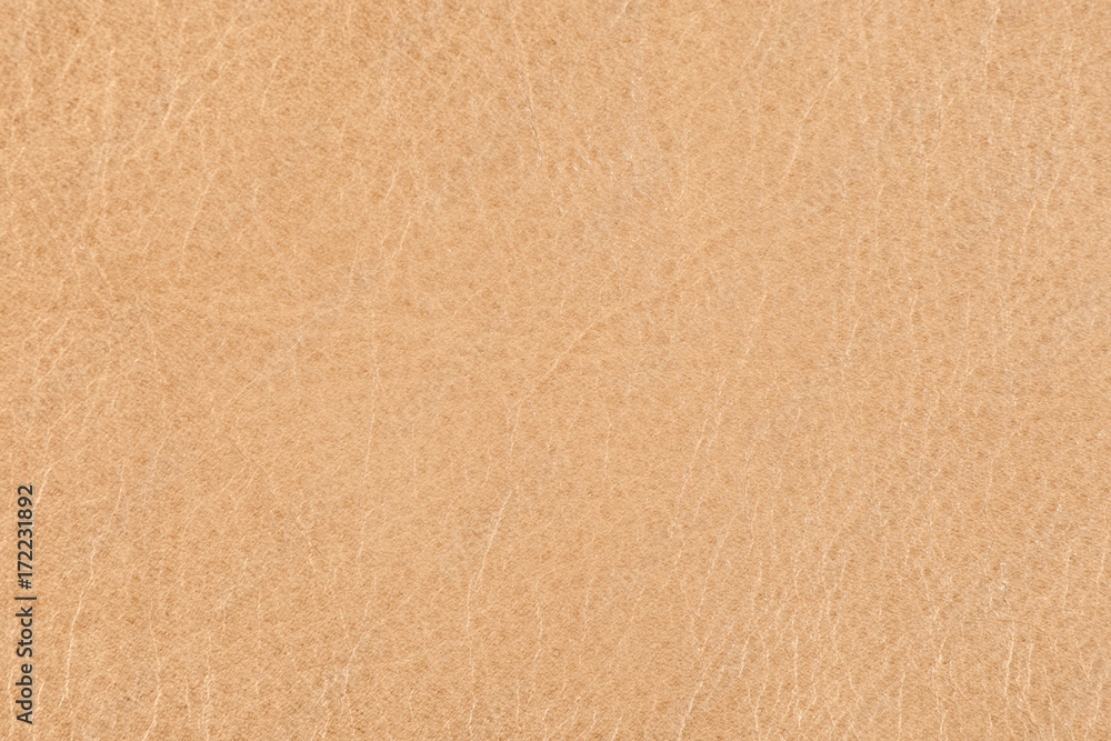 High resolution texture. Background. Skin. Stock Photo | Adobe Stock