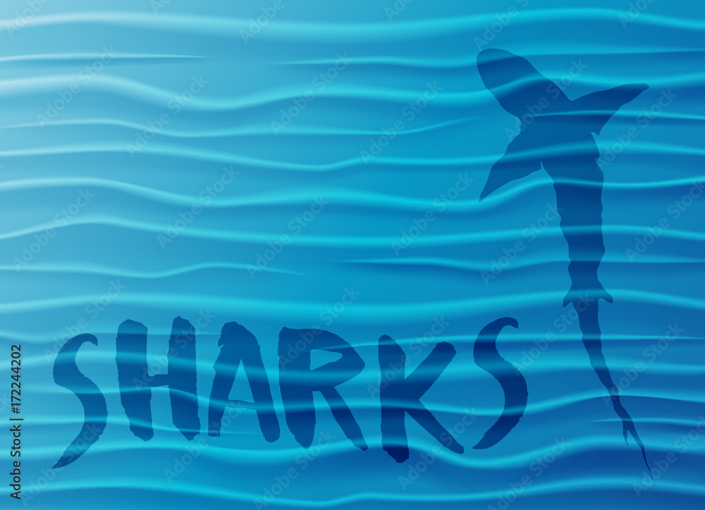 Shark silhouette in the deep sea. Blue water waves background with ...