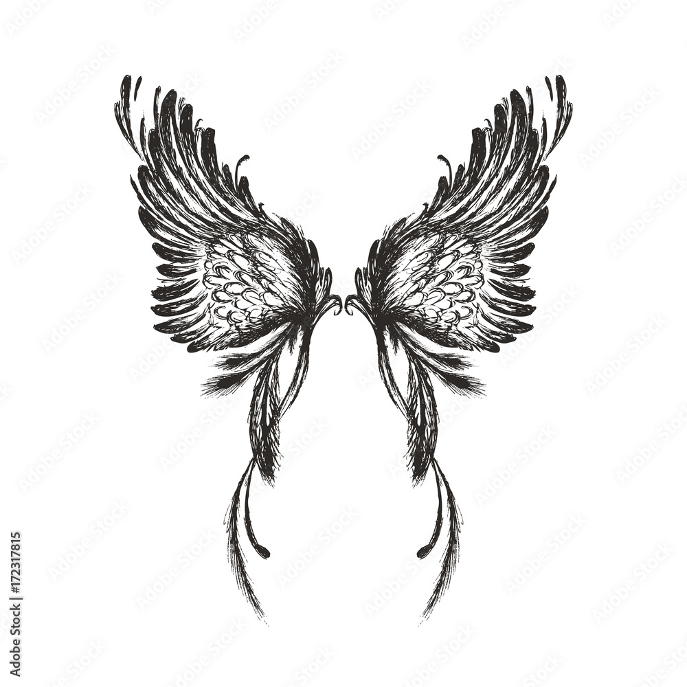 Hand drawn wings,isolated on white background, Stock Illustration ...
