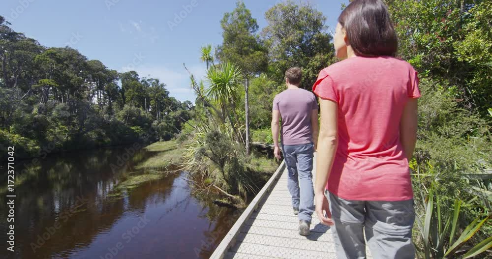 New Zealand. People hiking in swamp forest nature landscape in Ship ...