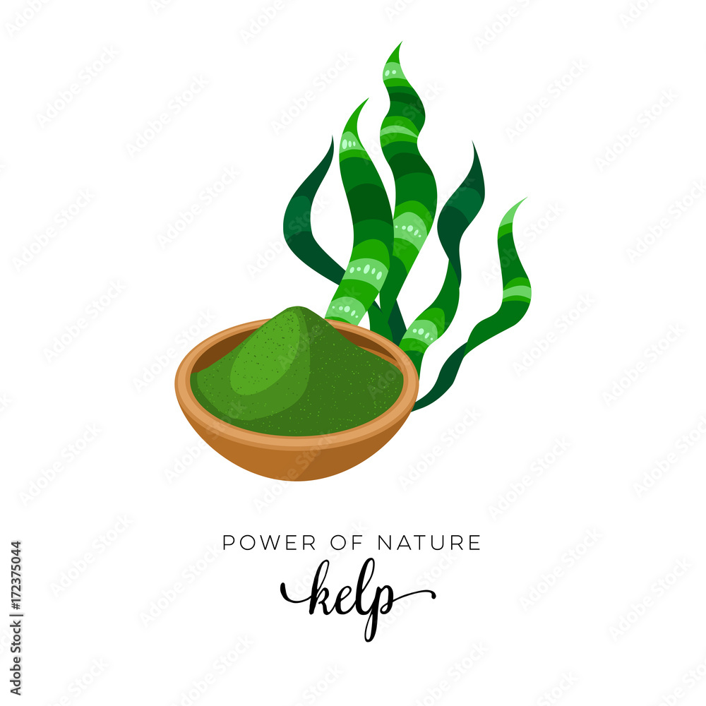 Superfood fruit. Kelp, grass and powder, seaweed. Vector illustration ...