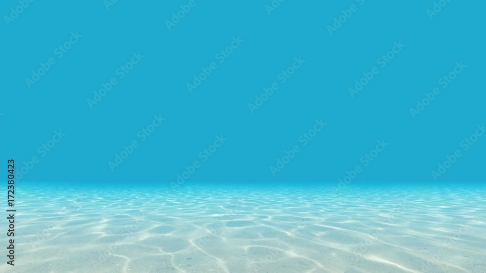 Under sea ocean blue clear water. Ocean floor. Stock Video | Adobe Stock