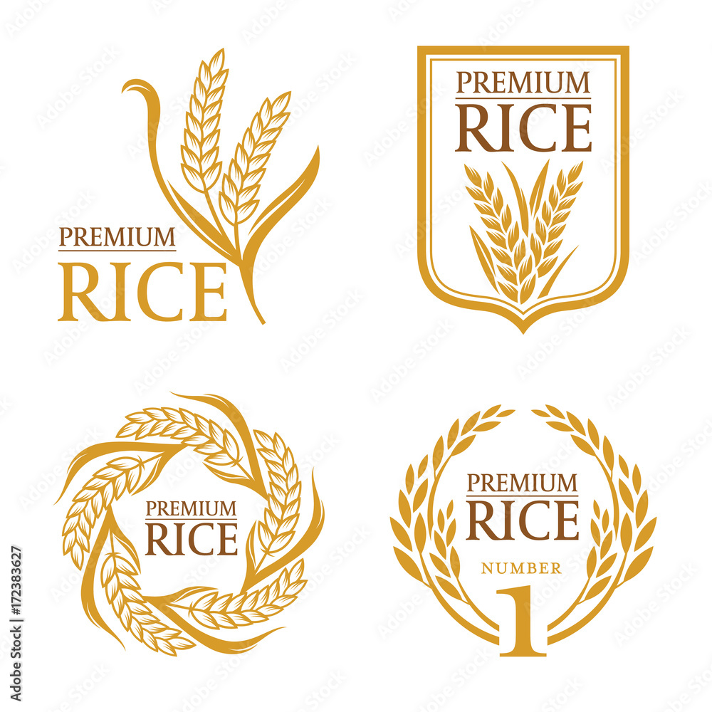 Orange brown paddy rice premium organic natural product banner logo ...