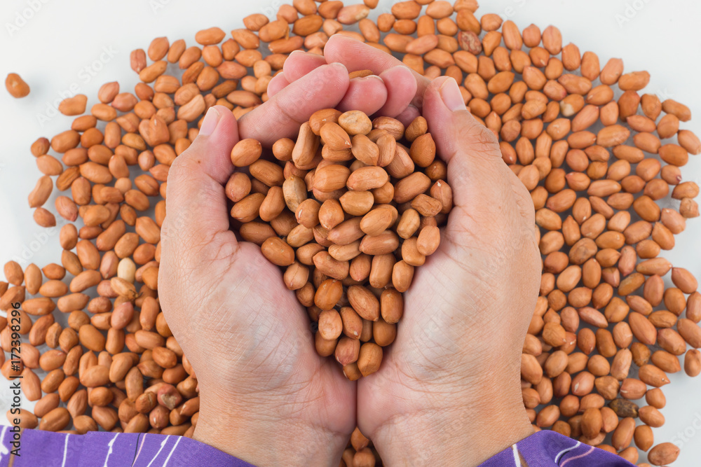 Concept groundnuts isolated white background Stock Photo | Adobe Stock