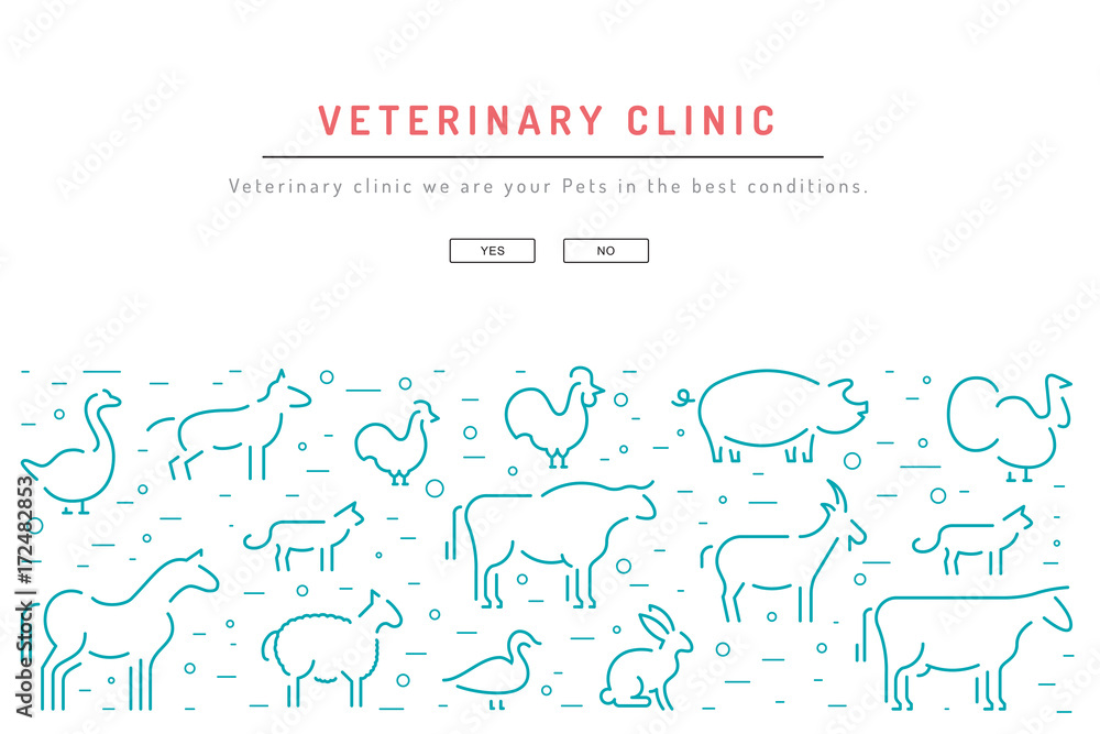 Vector template for your mobile app or site veterinary clinic, animal ...