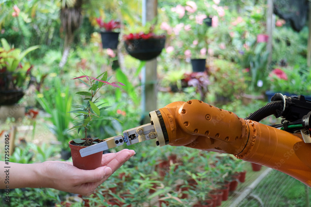Foto de robot hand give the tree in the flowerpot in the greenhouse to ...