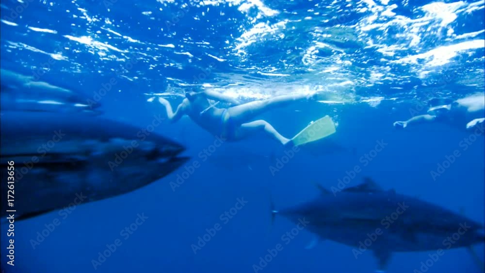 Romantic Couple Scuba Diving and snorkeling on vacation under water ...