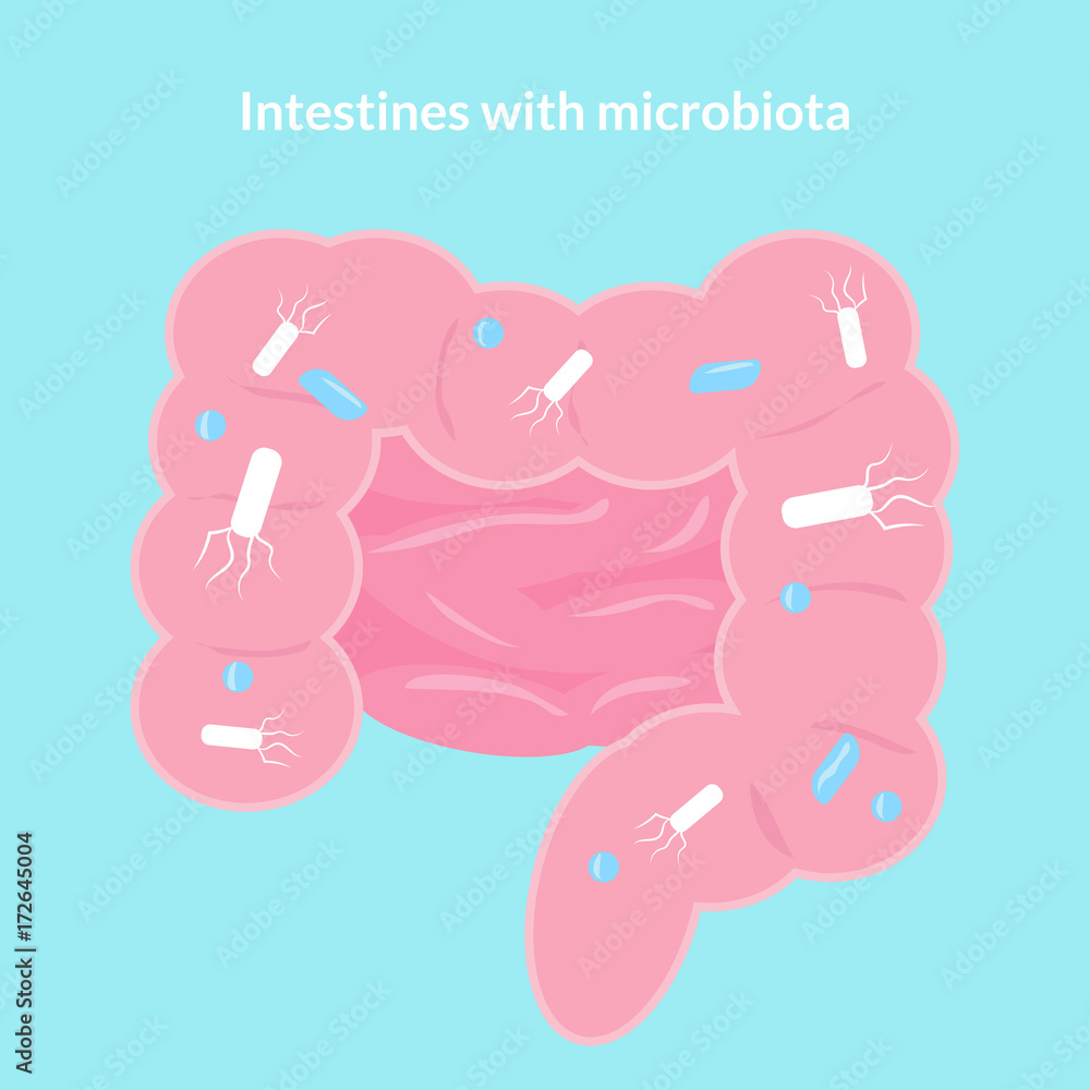 Intestines with microbiota. Cartoon style. Vector hand drawn ...