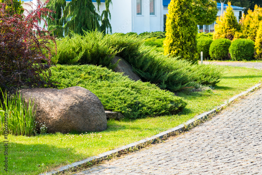 bushes in landscape design Stock Photo | Adobe Stock