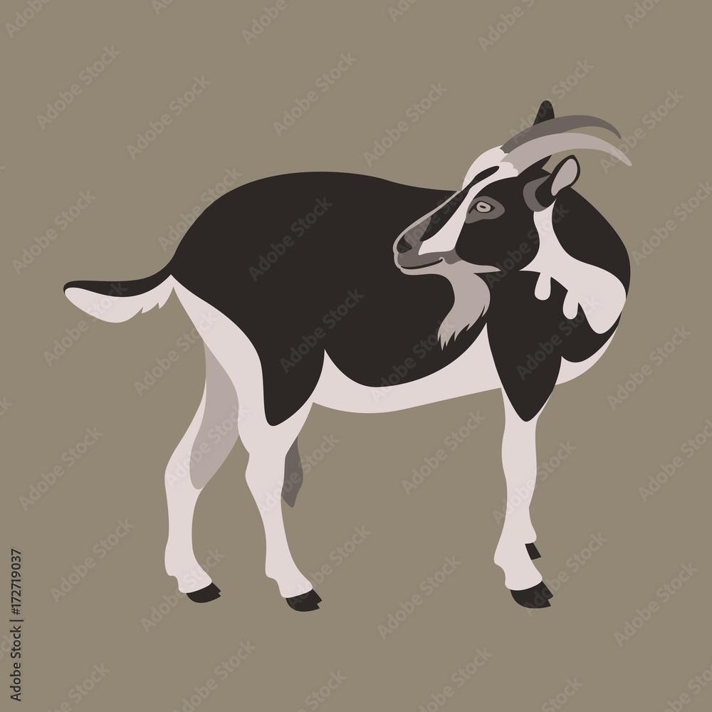 goat vector illustration flat style Stock Vector | Adobe Stock